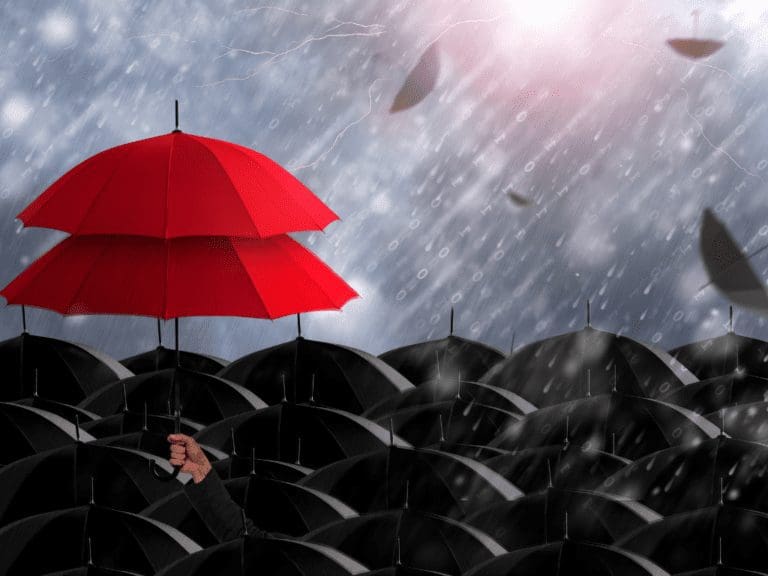 Learn more about Blue Creek Insurance Company Ltd.